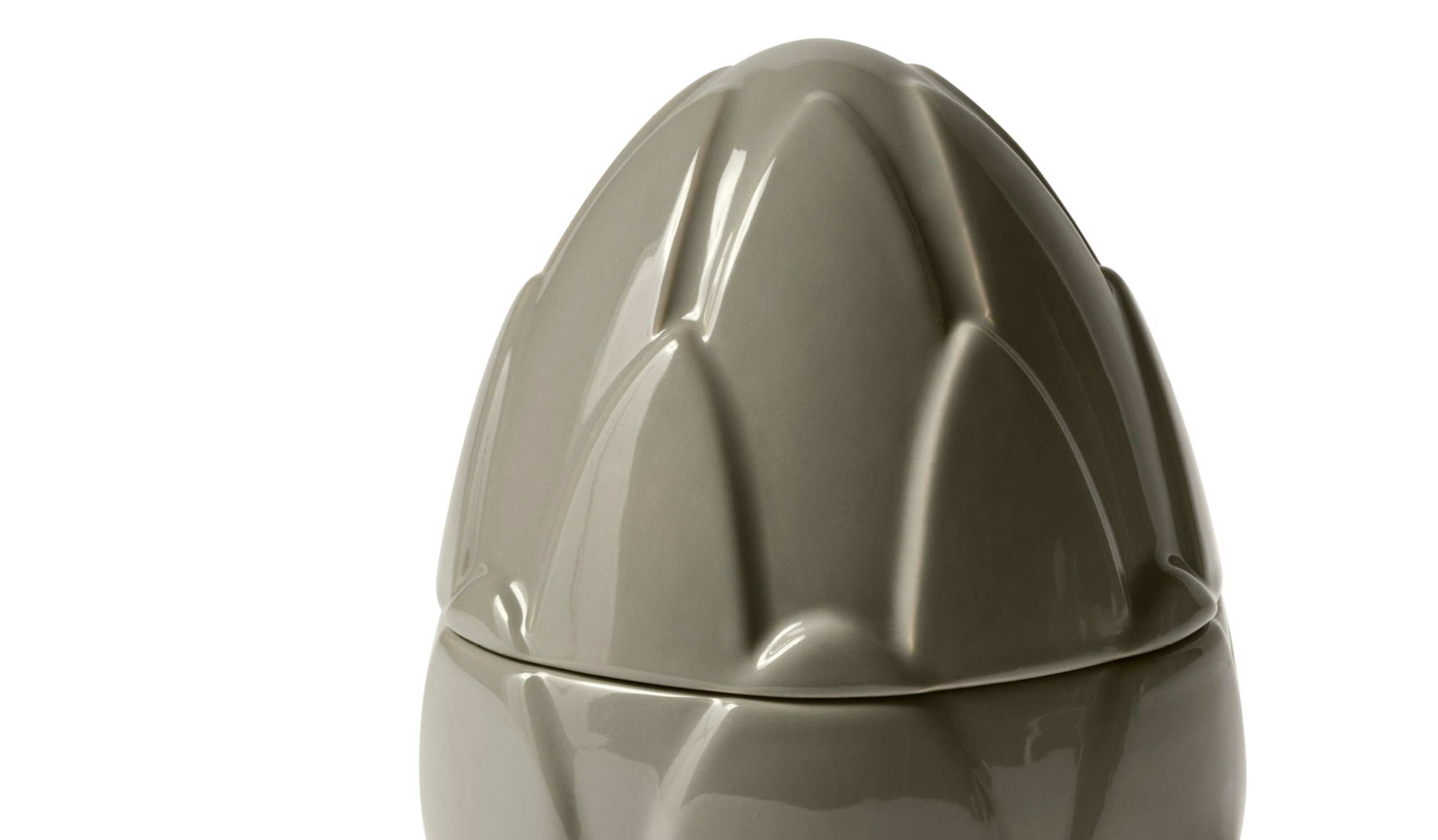 Container Taac Asparagus | Cassina
